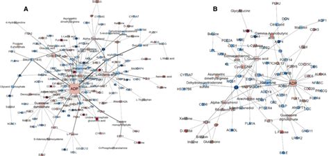 Metabolite Transcript Interactions Metaboanalyst Results For The