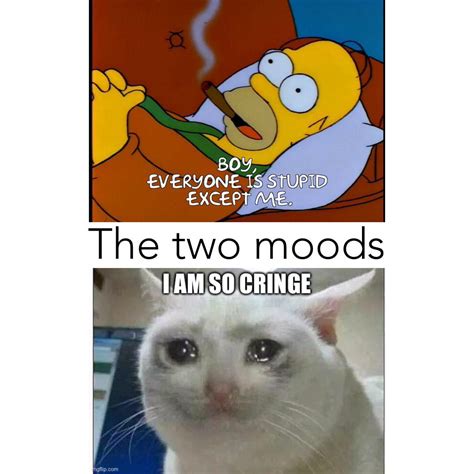 The Two Moods Of An Intp Meme R Intpmemes