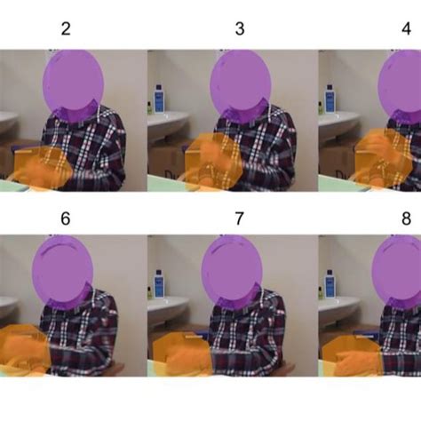 Illustration Of The Areas Of Interest Aoi This Series Of Video