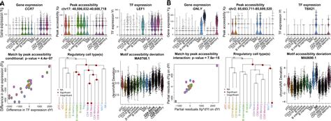 Nonparametric Single Cell Multiomic Characterization Of Trio