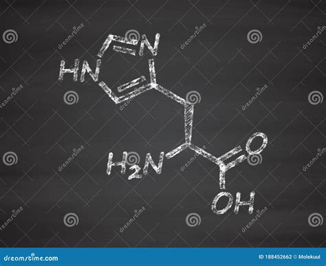 Histidine L Histidine His H Amino Acid Molecule Stock Illustration