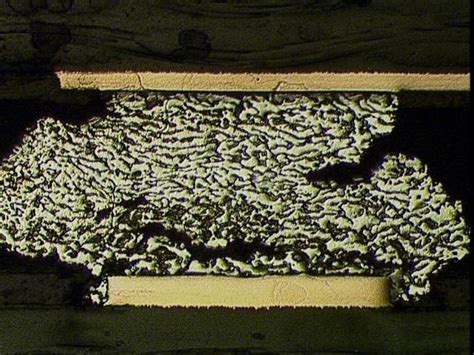 Defect Of The Month Conformal Coating Whats New In Electronics