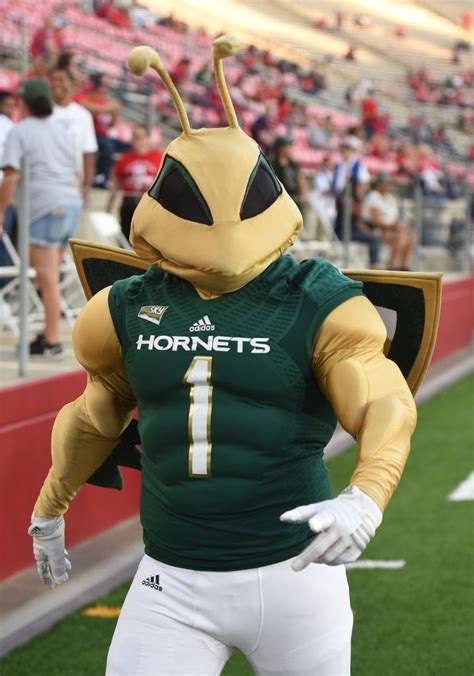 The Mascots That Represent Sacramento Sports Teams Yahoo Sports