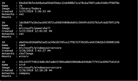 More Fun With Docker Containers And Powershell • The Lonely Administrator