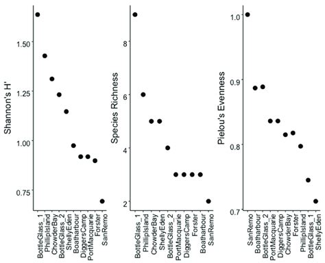 Differences In The Average Se Abundance Of Flatworms Found At Each Download Scientific