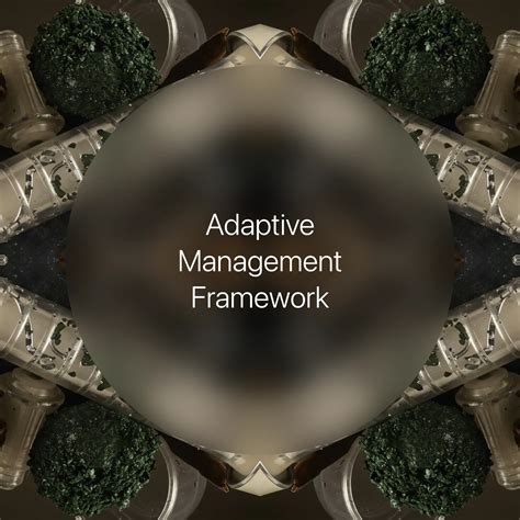 Adaptive Management Framework → Term