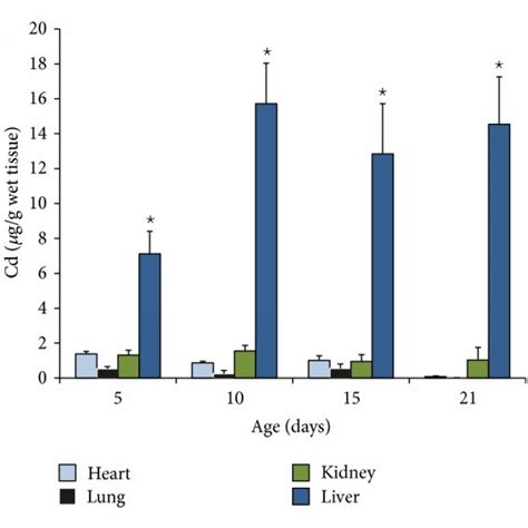 A Cadmium Tissue Concentrations From Rats Pups Treated With Cadmium Download Scientific