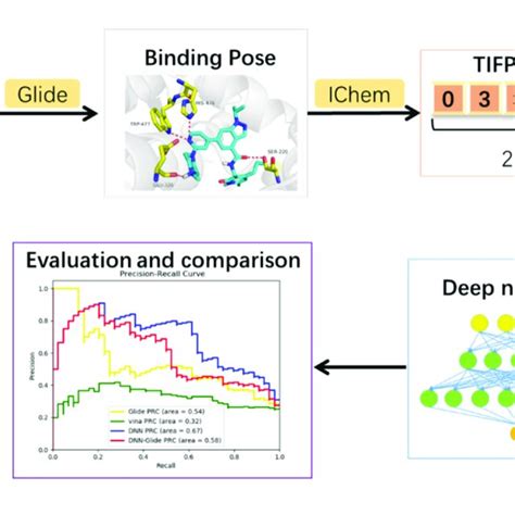 Overall Workflow Of Model Construction Download Scientific Diagram
