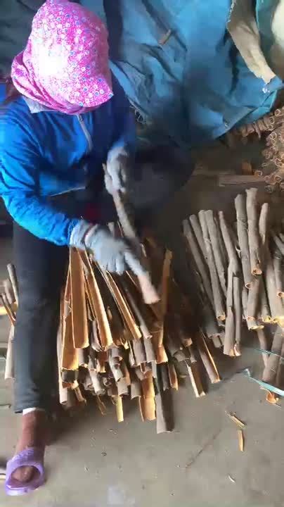 Anna Spices On Linkedin India Bangladesh Europe Dubai Middleeast Premiumquality Cassia…