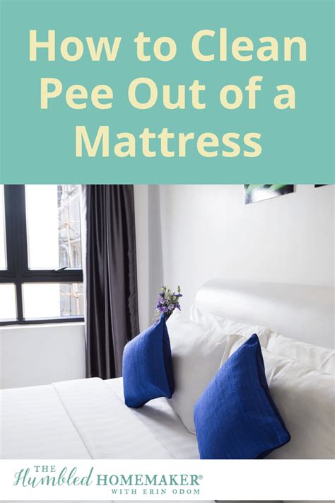 Clean Pee Out of a Mattress with this Easy, 3-Step Trick (That Actually Works)