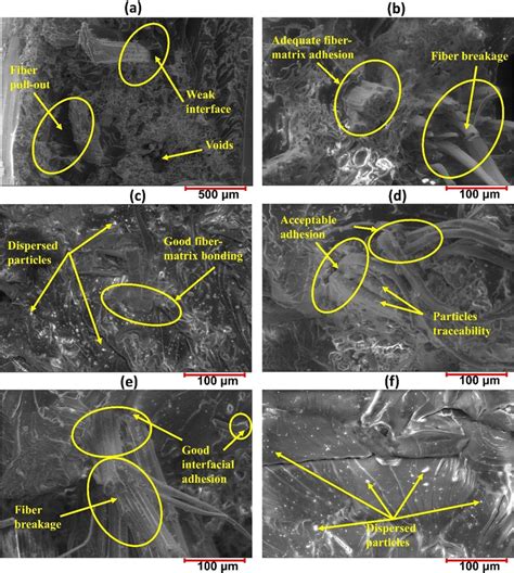 Sem Images Showing The Tensile Fracture Surface Of A Unfilled