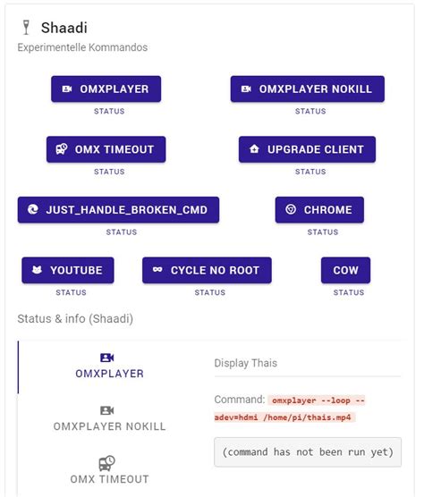 Control Your Raspberry Pi Remotely PiCockpit