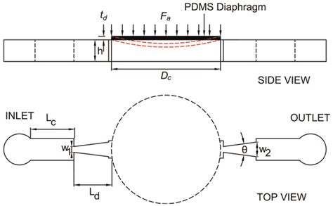 Schematic Of The Valveless Micropump Download Scientific Diagram