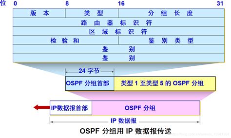 路由选择协议 rip、ospf、bgp 详解 bgp ospf rid csdn博客