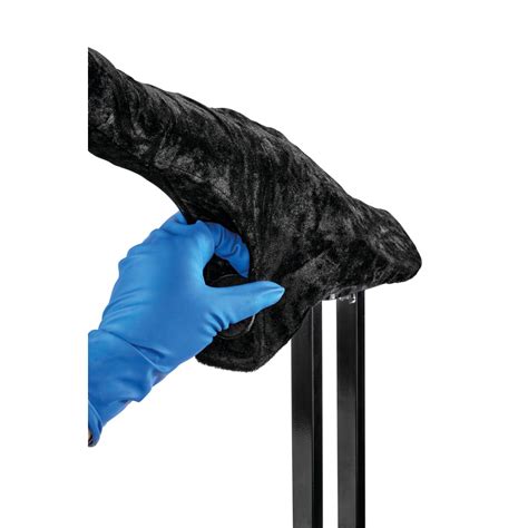 Tb Caudal Fold Tail 3b Scientific Veterinary Simulator 3b Tb Caudal Fold Tail 3b Scientific Veterinary Simulator 3b