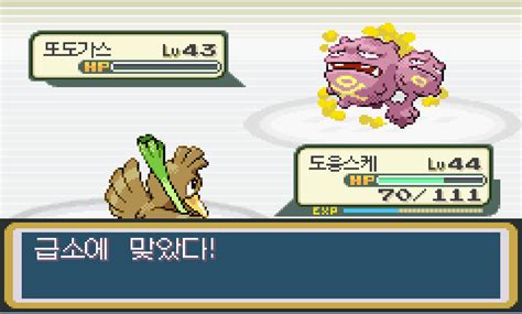 게임 연재 연재 포켓몬스터 파이어레드 새로 켠김에 그린까지 5