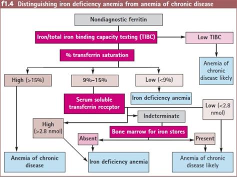 Clinical Utility Of Serum Ferritin