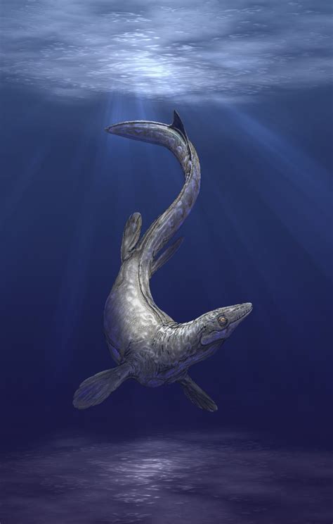 Mosasaur