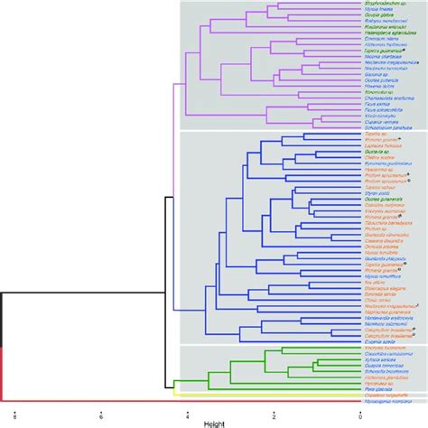 Hierarchical Agglomerative Clustering Of Litter Traits For Tree Species Download Scientific