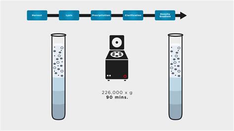 Producing And Purifying Viral Systems In The Laboratory Beckman 2017