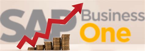 Sap Business One Facilita La Gestión De Tu Equipo Contable Por Los