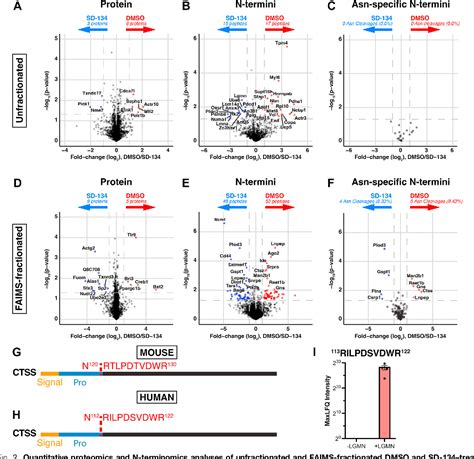 Figure 2 From Ion Mobility Based Enrichment Free N Terminomics Analysis Reveals Novel Legumain