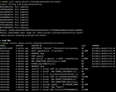 `rad Env Init` For Self Hosted Is Taking Too Long To Initialize ~34