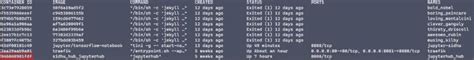Stop Running Jupyter Notebooks From Your Command Line KDnuggets