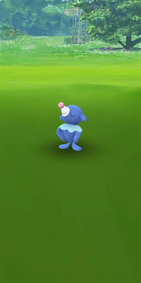 I Caught It I Caught A Snapshot Of A Popplio Doing The Pose Rpopplio