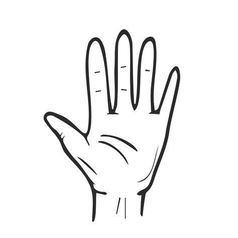Doodle Human Hand Vector Body Parts Sketch 16401313 Vector Art At Vecteezy