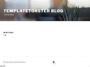 WordPress Settings API Creating WordPress Theme Options DIY Guide