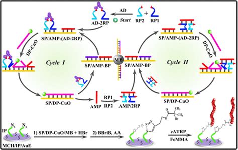 Programmable Dna Nanomachine Integrated With Electrochemically Controlled Atom Transfer Radical