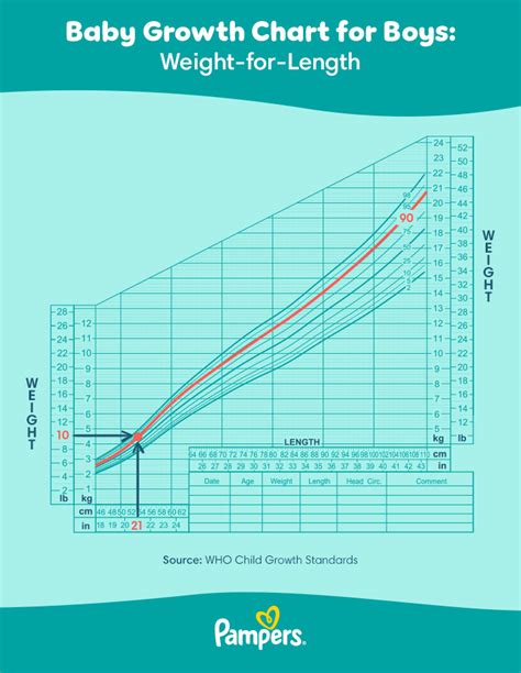 Diagram Fetal Growth Chart 5 Thousand Crecimiento Fetal Royalty Free