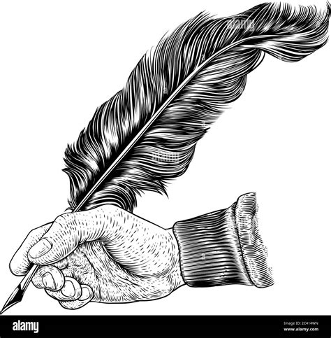 Quill Pen And Ink Drawing