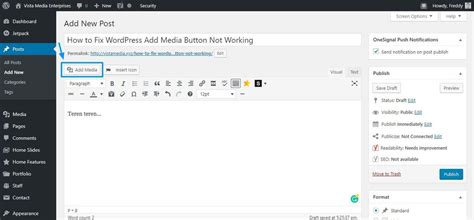 How To Fix WordPress Add Media Button Not Working
