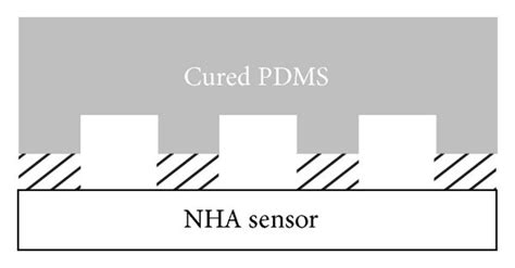 Schematic Overview Of Fabrication And Integration Of Pdms Based