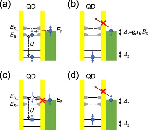 Spin Filter Effect In Measurement Mode Spin Filter Effects Appear When
