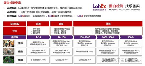 细胞能量产生和代谢调控的关键细胞器 —— 线粒体 知乎