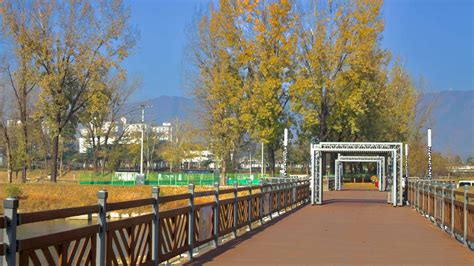 백로공원 보강천미루나무숲 Korea By Bike