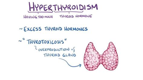Hyperthyroidism Video Anatomy Definition And Function Osmosis
