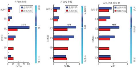 Shale Oil Accumulation Conditions In The Second Member Of Paleogene