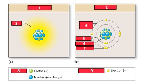 1 B Models Label Diagram Quizlet