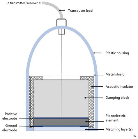 Ultrasound Transducer Pacs