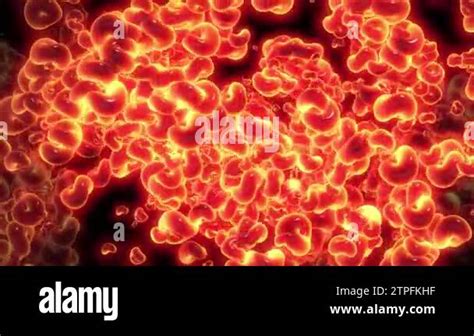 Three Dimensional Image Of Cells Cells In Red Orange Color Abstract Background With Liquid