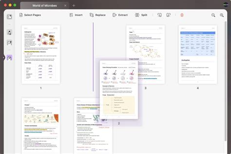 Edit Your PDF Documents With UPDF Software Across All Platforms