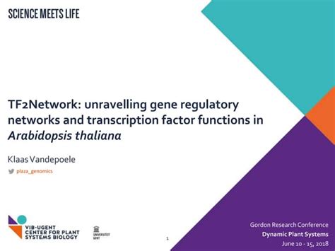 Tf2network Unravelling Gene Regulatory Networks And Transcription Factor Functions In
