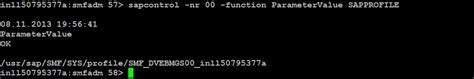 Useful Sapcontrol Command To Check Status Of Appli SAP Community