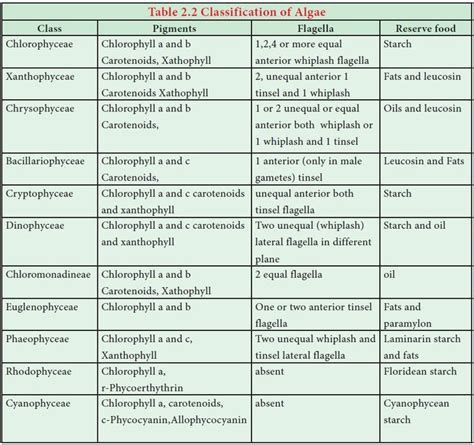 Classification Of Algae Algae Alternation Of Generations Vegetative Reproduction