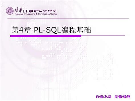 PL SQL编程基础 word文档在线阅读与下载 无忧文档