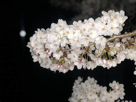 Ганц лааз пиво Хаврын дуулаахан орой ажилаас тараад… By Хувийн